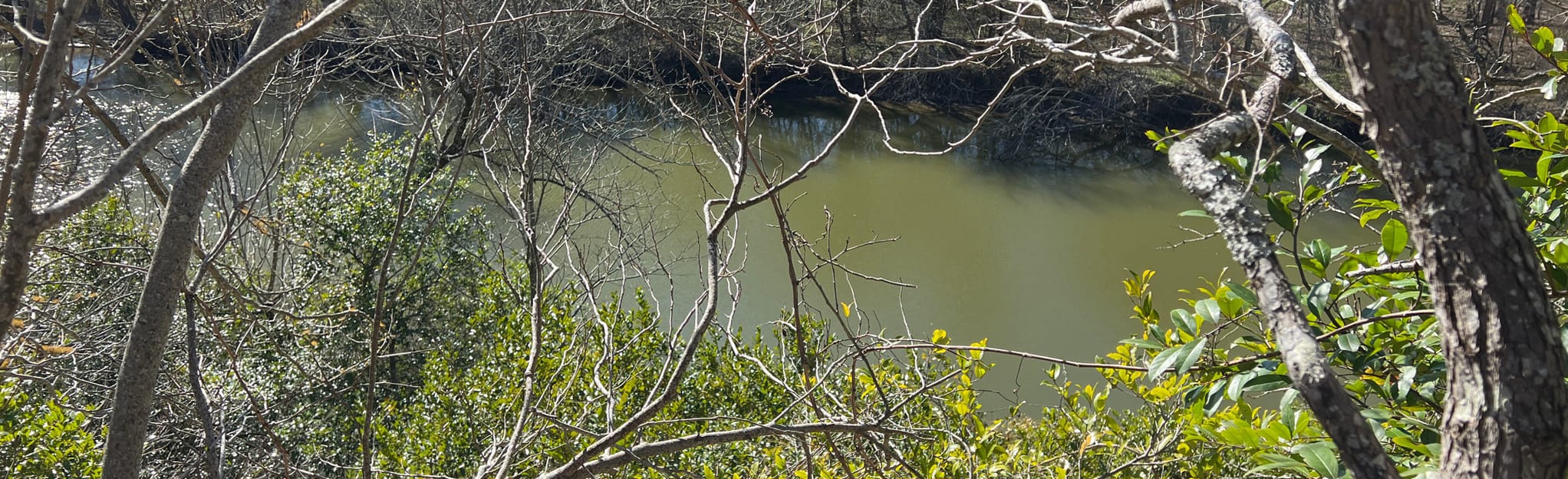 River Loop Trail, Texas - 29 Reviews, Map | AllTrails