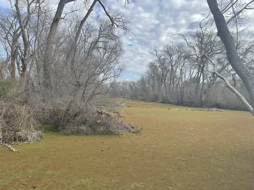 Best Hikes and Trails in Shadow Cliffs Regional Recreation Area | AllTrails