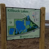 Killbuck Lake Loop, Ohio - 66 Reviews, Map | AllTrails