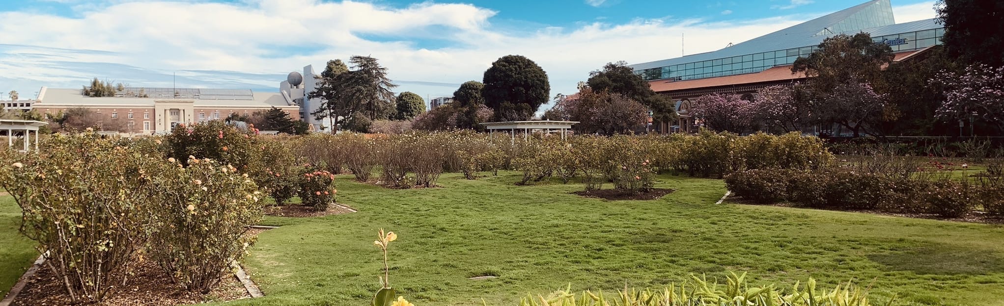 AllTrails | University of Southern California and Exposition Park Walk ...