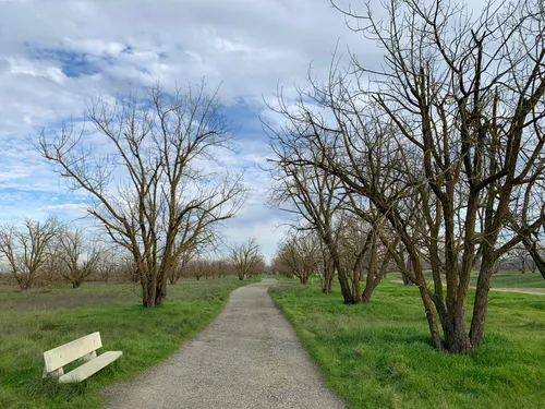 Best Hikes and Trails in Davis | AllTrails