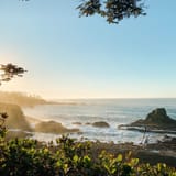 Sunset Bay, Oregon - 146 Reviews, Map | AllTrails