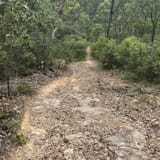 Spring Mountain Trail , Queensland, Australia - 248 Reviews, Map ...