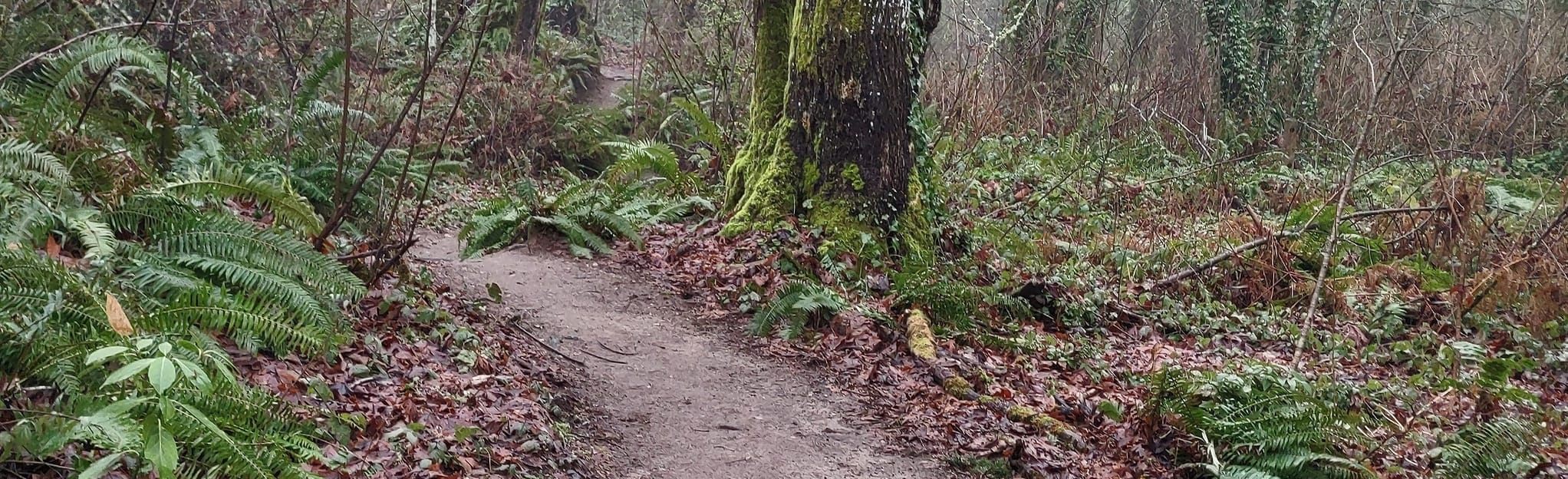 Walker Creek Preserve Main Loop, Washington - 34 Reviews, Map | AllTrails