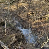 Oak Ridge Trail, Missouri - 170 Reviews, Map | AllTrails