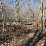 Oak Ridge Trail, Missouri - 172 Reviews, Map | AllTrails