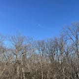 Oak Ridge Trail, Missouri - 172 Reviews, Map | AllTrails