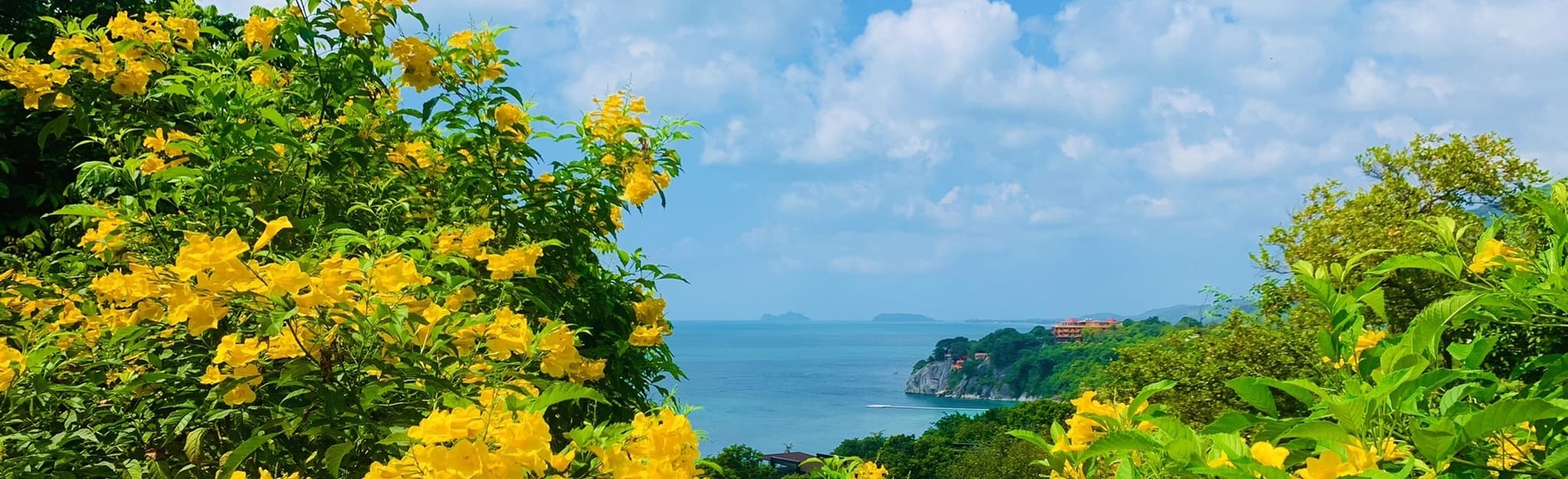 Haad Rin Beach - Haad Rin Cape: 15 Reviews, Map - Surat Thani, Thailand ...