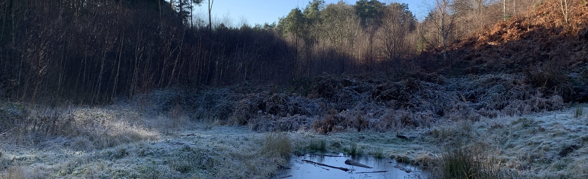 RSPB The Lodge Nature Reserve Circular: 37 Reviews, Map - Bedfordshire ...