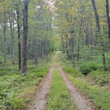 Quabbin Reservoir Gates 11-12 Loop Trail, Massachusetts - 223 Reviews ...