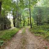 Quabbin Reservoir Gates 11-12 Loop Trail, Massachusetts - 223 Reviews ...