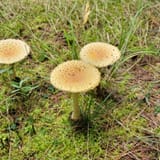 Quabbin Reservoir Gates 11-12 Loop Trail, Massachusetts - 223 Reviews ...