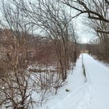 Ice Age Trail: Delafield, Wisconsin - 299 Reviews, Map | AllTrails