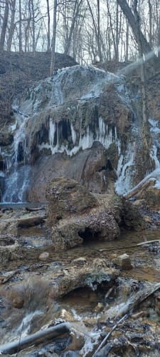 Best Hikes and Trails in Falls Ridge Nature Preserve | AllTrails