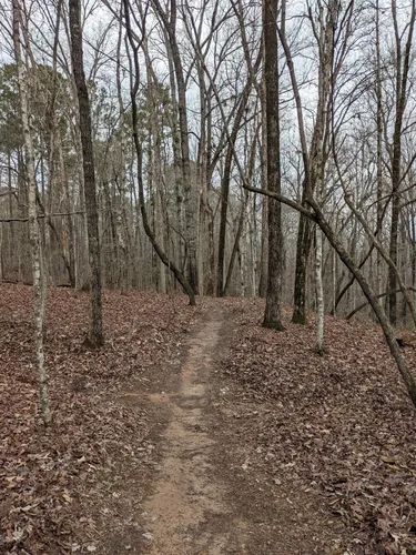 Best Hikes and Trails in Dauset Trails Nature Center | AllTrails