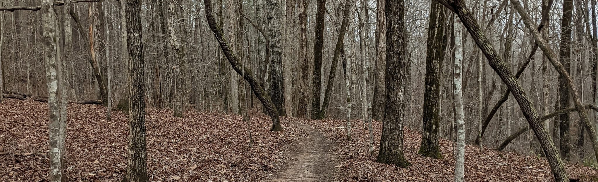 Lake Clark Loop: 7 Reviews, Map - Georgia | AllTrails