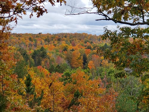 Best Hikes and Trails in Chute Pond County Park | AllTrails