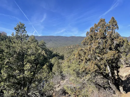 10 Best Trails and Hikes in Cedar Crest | AllTrails