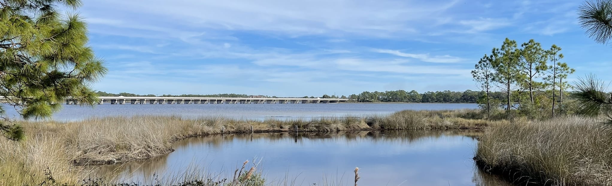 Beach via Oak Canopy Trail, Florida - 43 Reviews, Map | AllTrails