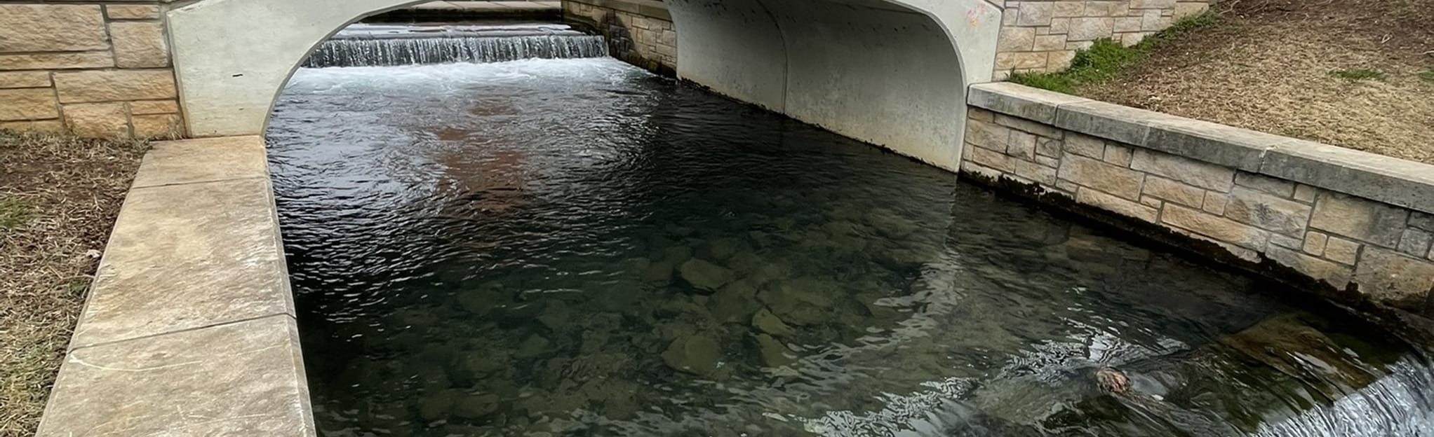 Big Spring Park Loop, Alabama - 67 Reviews, Map | AllTrails