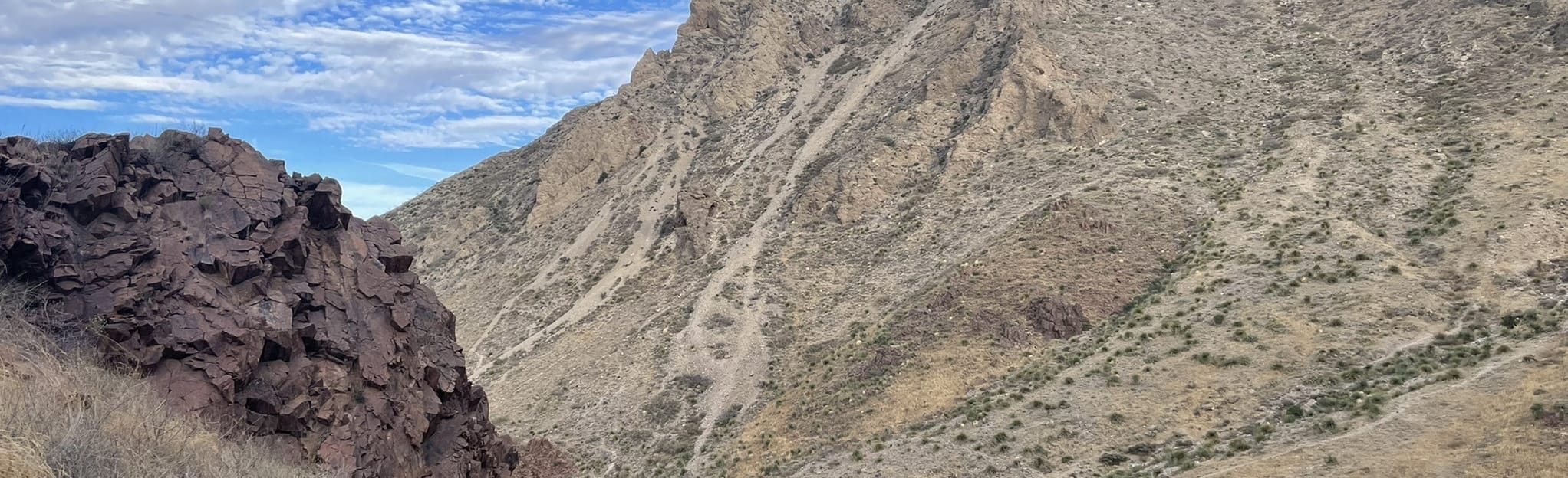 Ron Coleman Trail, Texas - 261 Reviews, Map | AllTrails