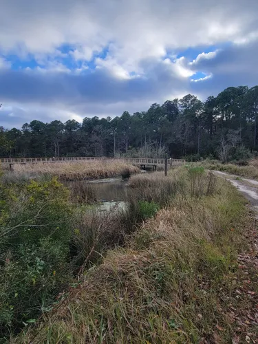 Best Hikes and Trails in Shepard State Park | AllTrails