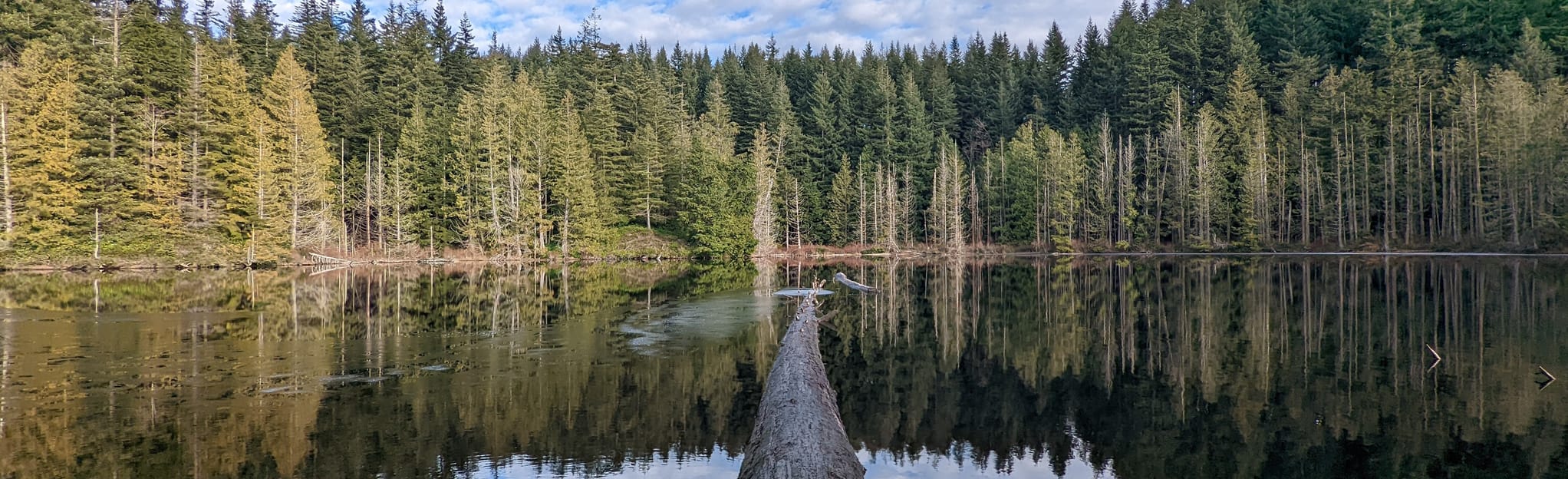 Pine and Cedar Lakes Trail, Washington - 1,475 Reviews, Map | AllTrails