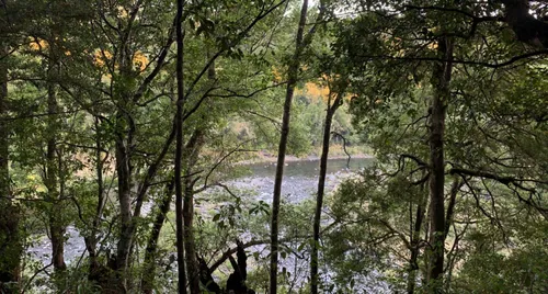 10 Best Hikes and Trails in Kaimanawa Forest Park | AllTrails