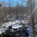 Thunder Swamp Trail, Pennsylvania - 48 Reviews, Map | AllTrails
