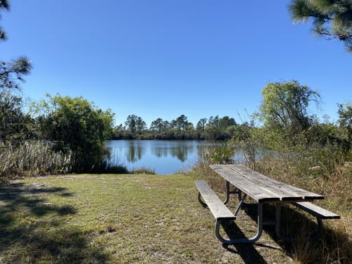 Best Hikes and Trails in Prairie/Shell Creek | AllTrails