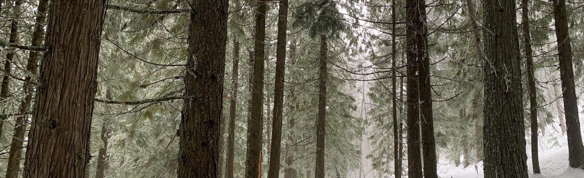 Techno Grind and Kootenay Columbia Loop, British Columbia, Canada - 19 ...