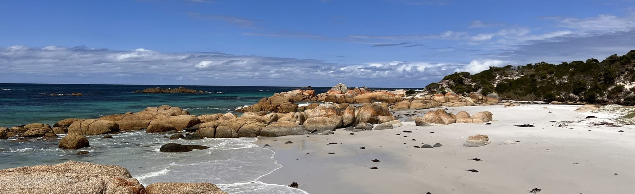 Stumpys Bay Campground to Deep Creek - Tasmania, Australia | AllTrails