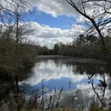 Sheldon Lake State Park Nature Loop, Texas - 187 Reviews, Map | AllTrails