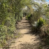 Sheldon Lake State Park Nature Loop, Texas - 187 Reviews, Map | AllTrails