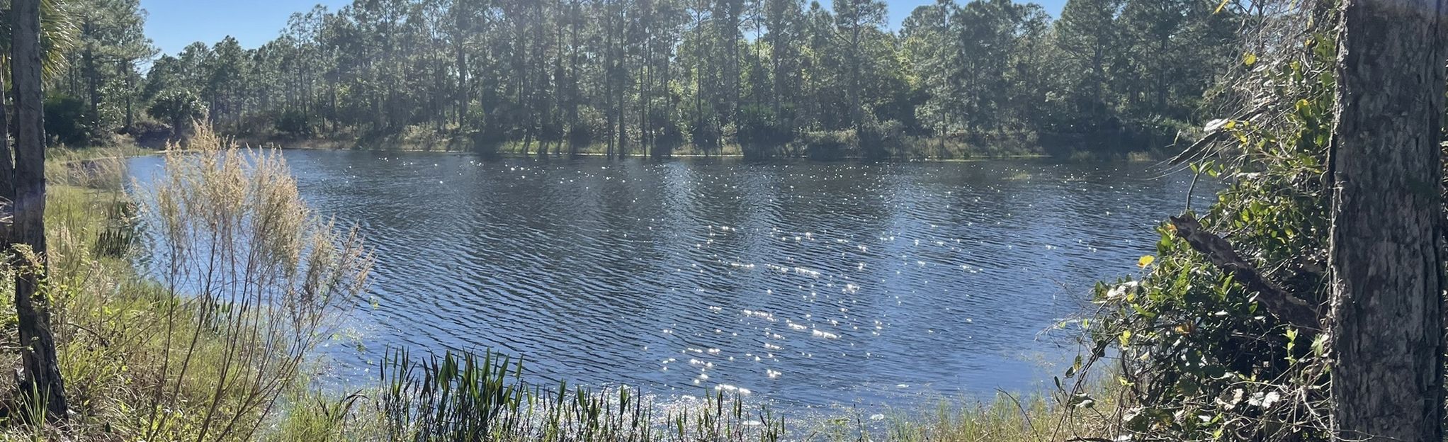 Halpatiokee Park Mountain Bike Trail: 277 Reviews, Map - Florida ...