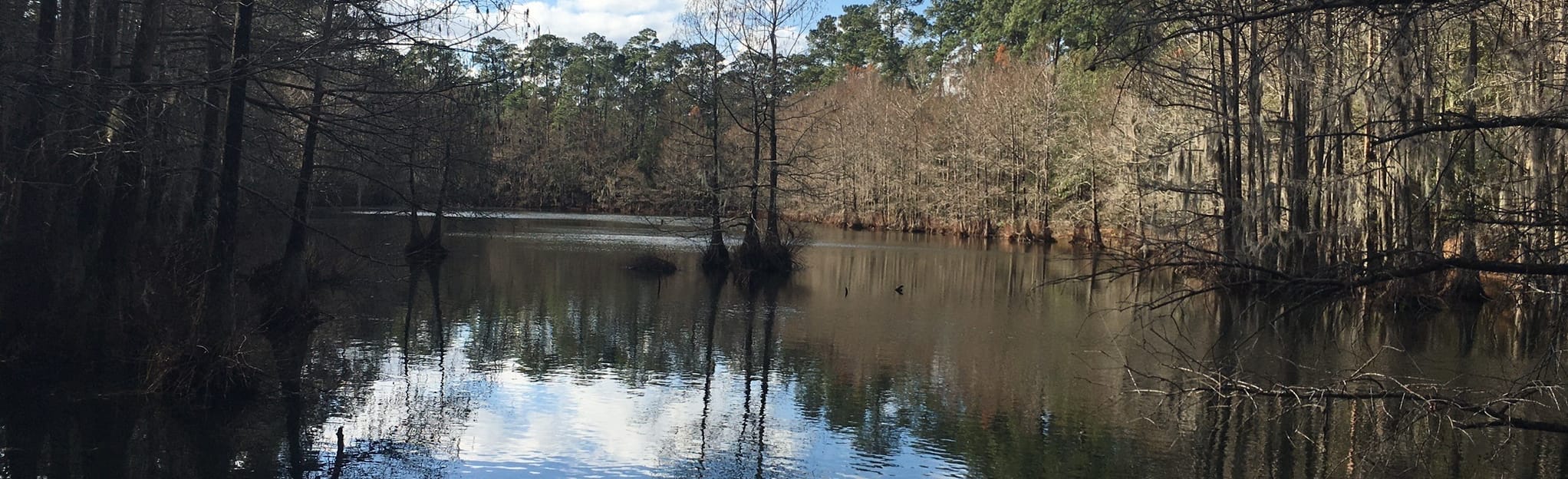 Spring Creek Greenway: Carter Park to Pundt Park Hideaway: 446 Reviews ...