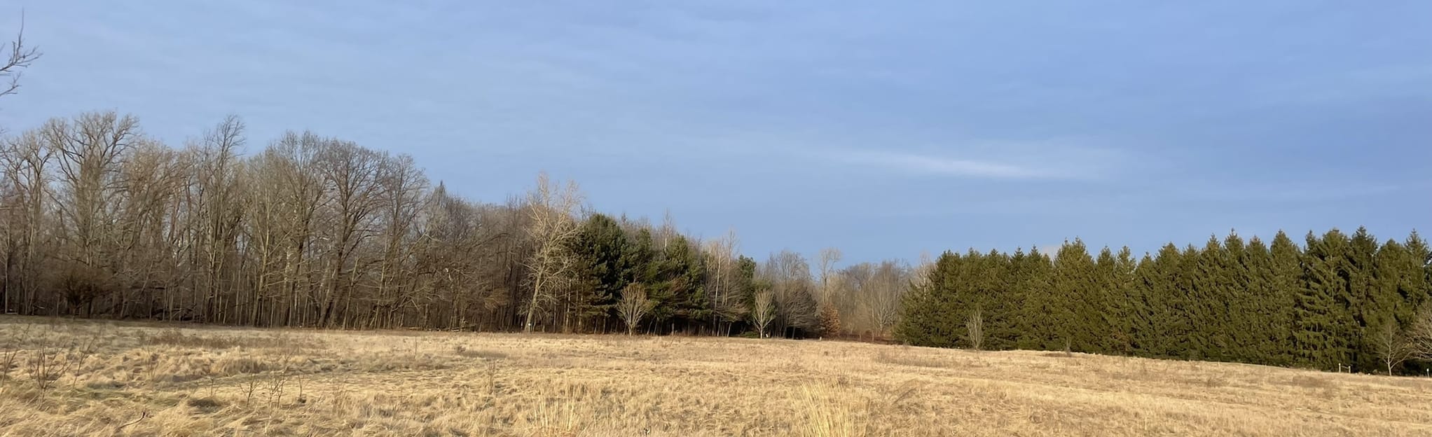 Metea Park Loop: 259 Reviews, Map - Indiana | AllTrails