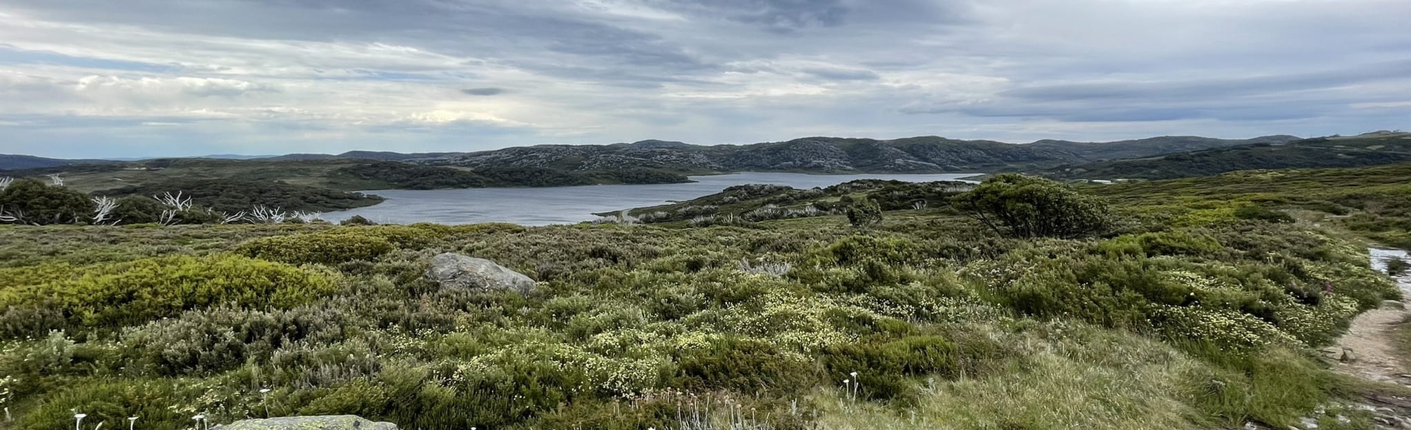 Mount Nelse and Huts Walk, Victoria, Australia - 32 Reviews, Map ...