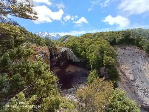 10 Best Trails and Hikes in Ohakune | AllTrails