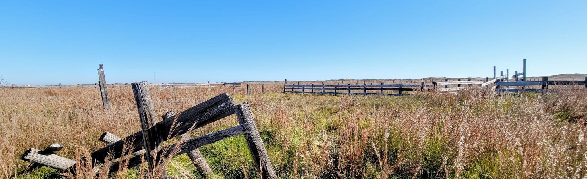 Novillo Line Camp Ruins, Texas - 9 Reviews, Map | AllTrails