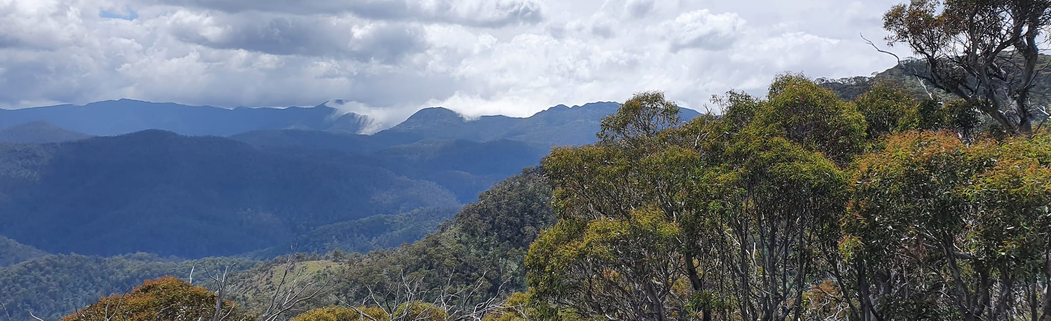 Howitt and Helicopter Spur: 5 Reviews, Map - Victoria, Australia ...