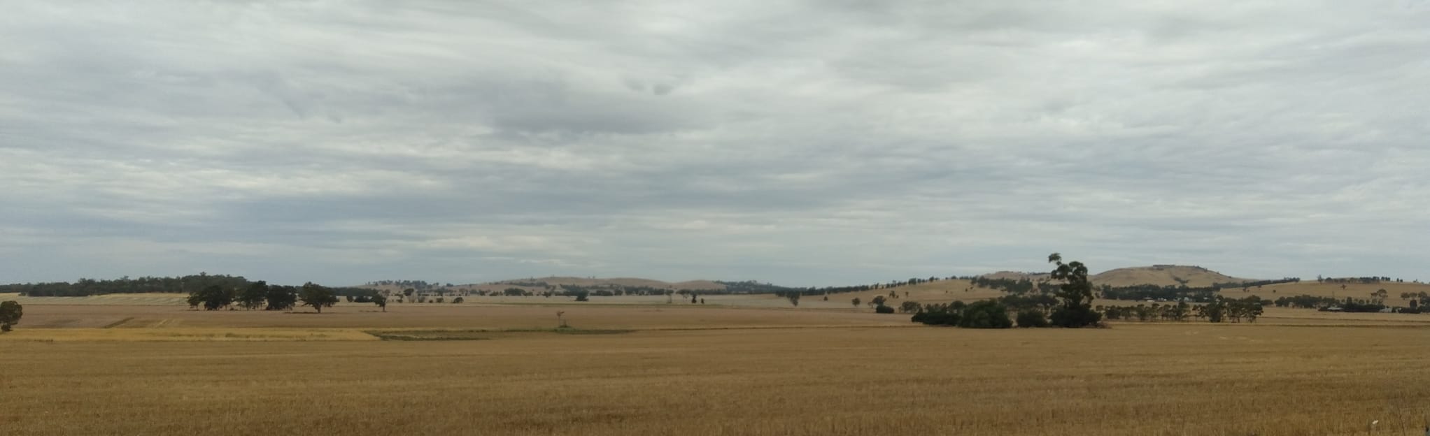 Dookie Rail Trail: 3 Reviews, Map - Victoria, Australia | AllTrails