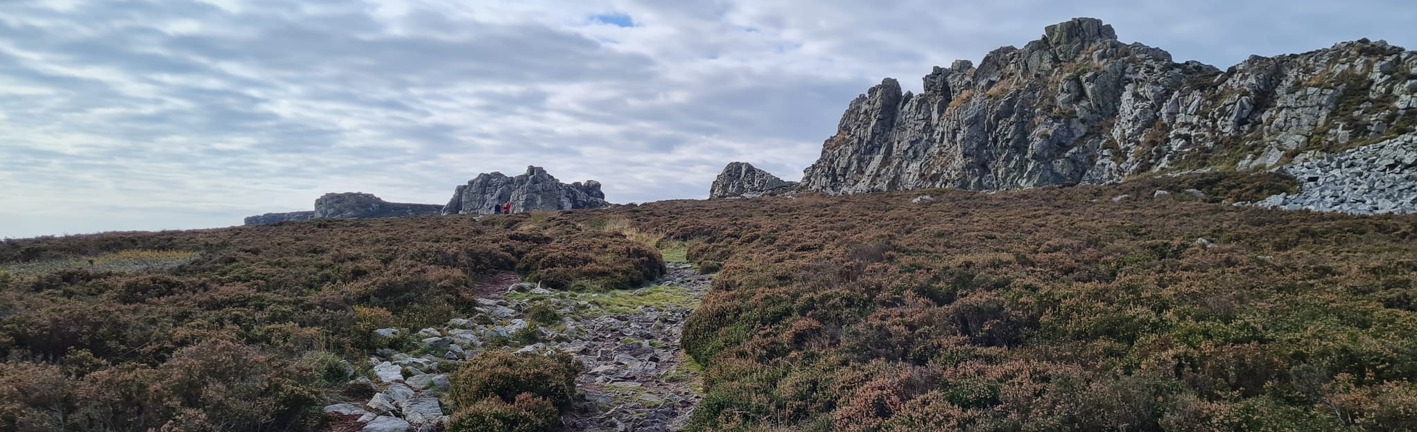 Stiperstone Nature Reserve (Via Devil's Chair): 37 Reviews, Map ...