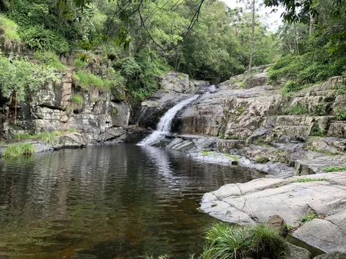 10 Best Hikes and Trails in D’Aguilar National Park | AllTrails