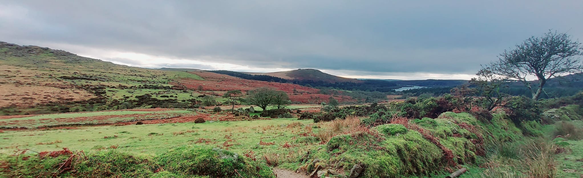Crazy Well Pool: 13 Reviews, Map - Devon, England | AllTrails