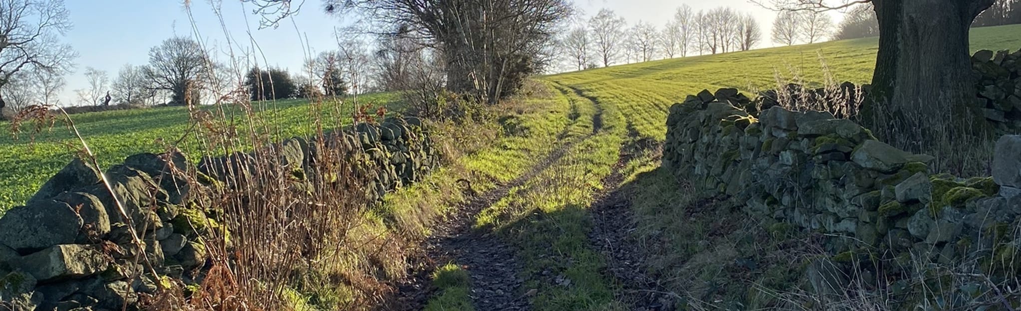 Bullbridge and Fritchley Circular, Derbyshire, England - 32 Reviews ...