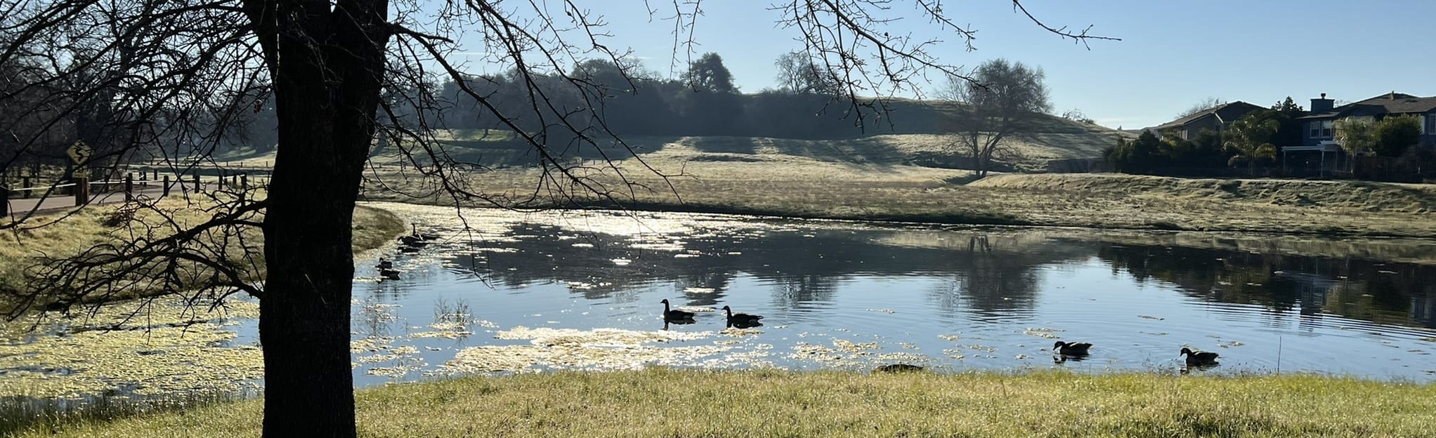 Wilson Park - Coyote Pond Park: 118 Reviews, Map - California | AllTrails