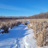 Hasse Lake, Alberta, Canada - 80 Reviews, Map | AllTrails