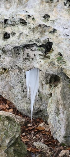 Best Hikes and Trails in Falls Ridge Nature Preserve | AllTrails