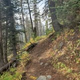 Seven Devils Loop, Idaho - 122 Reviews, Map | AllTrails